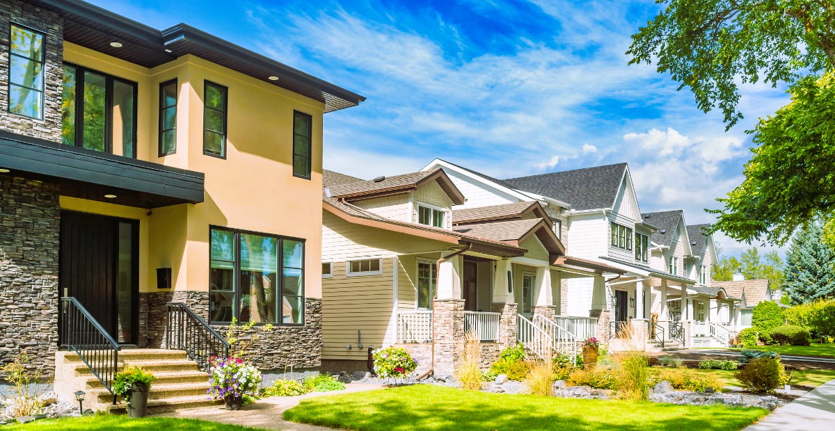 Choosing the Windows — Electric Eel Sewer and Drain